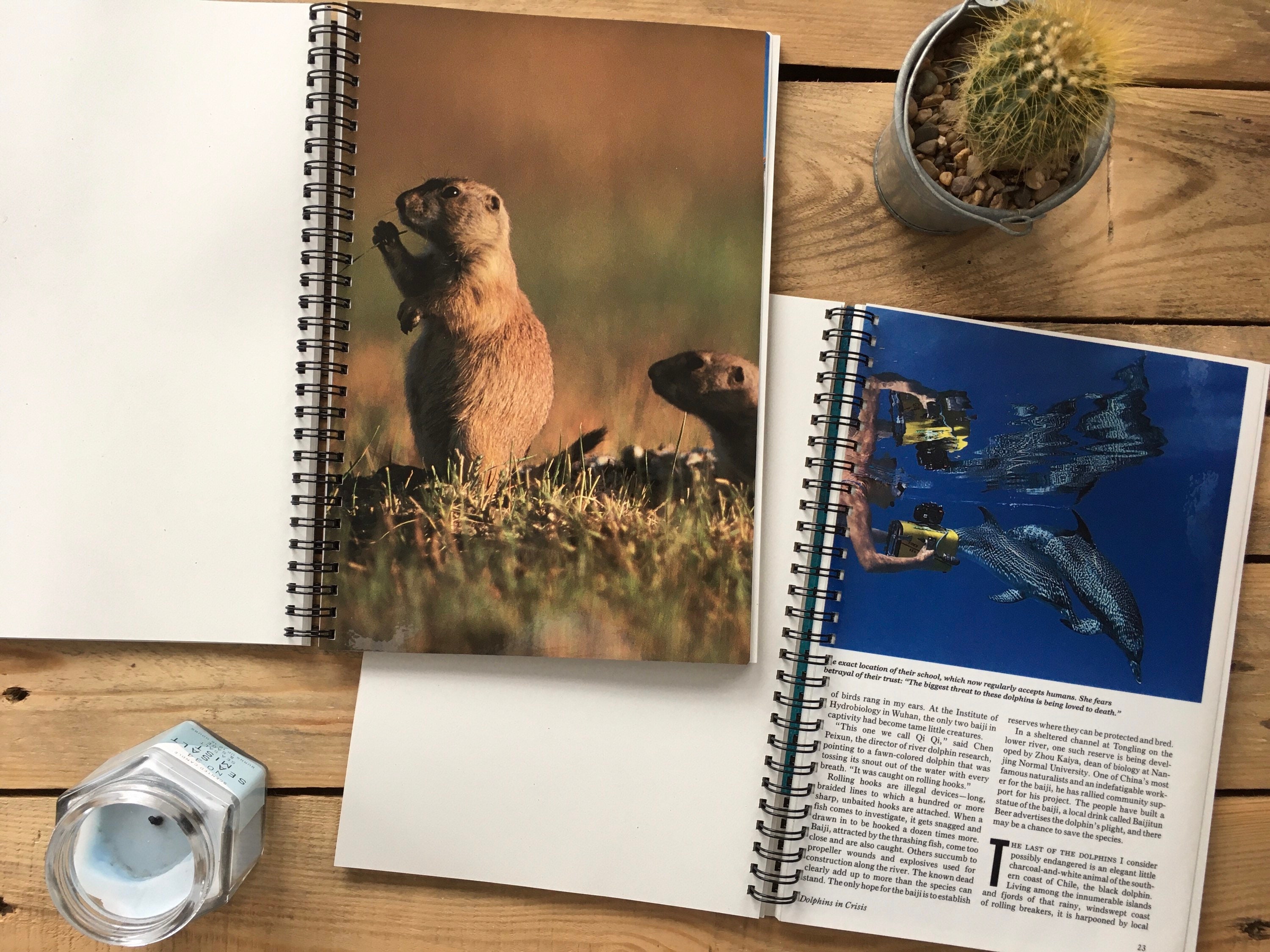 Recycled/upcycled National Geographic Spiral-bound Notebook - Etsy UK