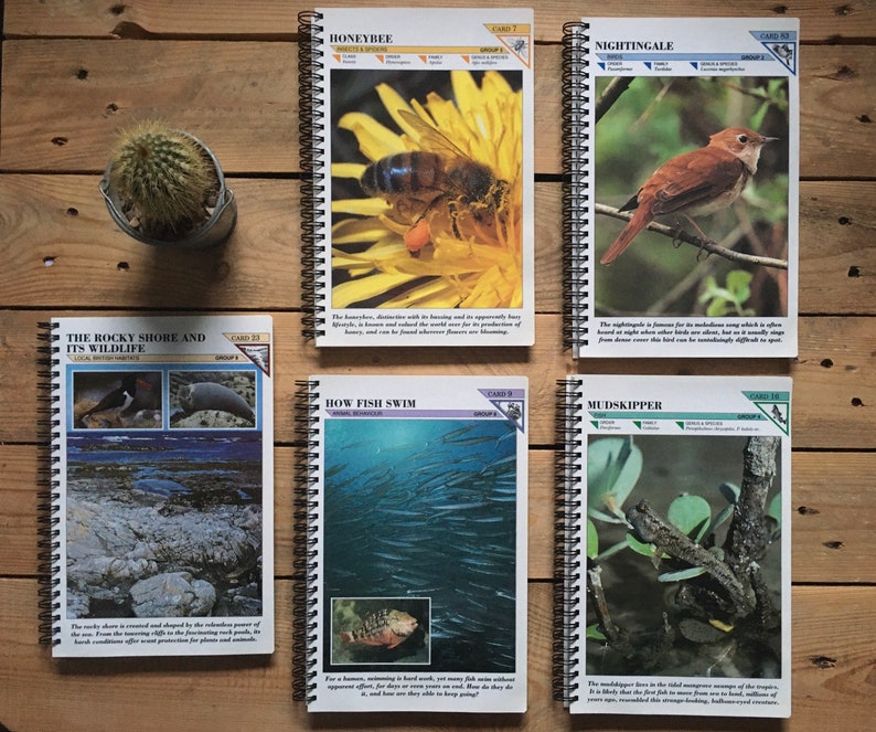 Recycled/upcycled Animals 90s Fact-file Notebook Wildlife - Etsy