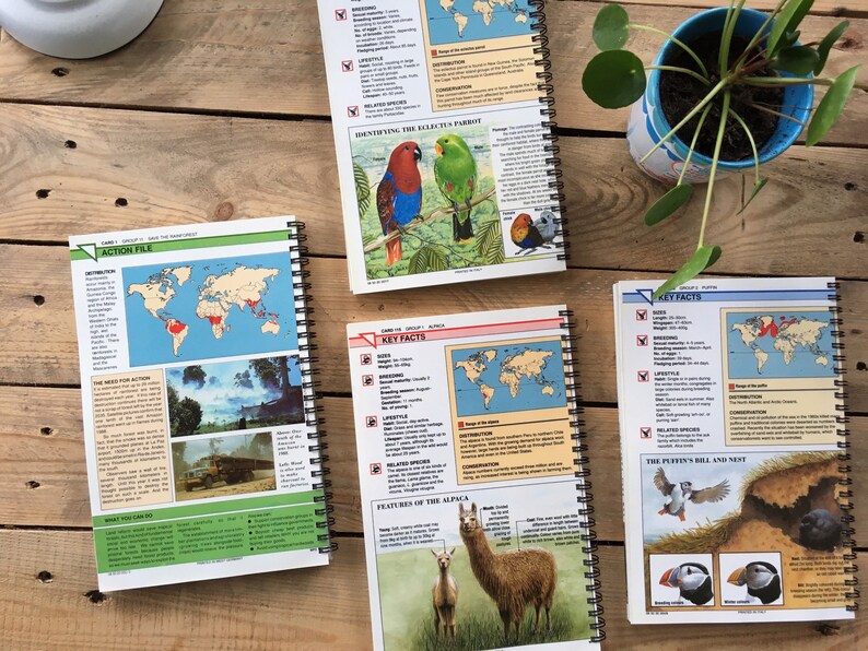 Recycled/upcycled Animals 90s Fact-file Notebook Wildlife | Etsy