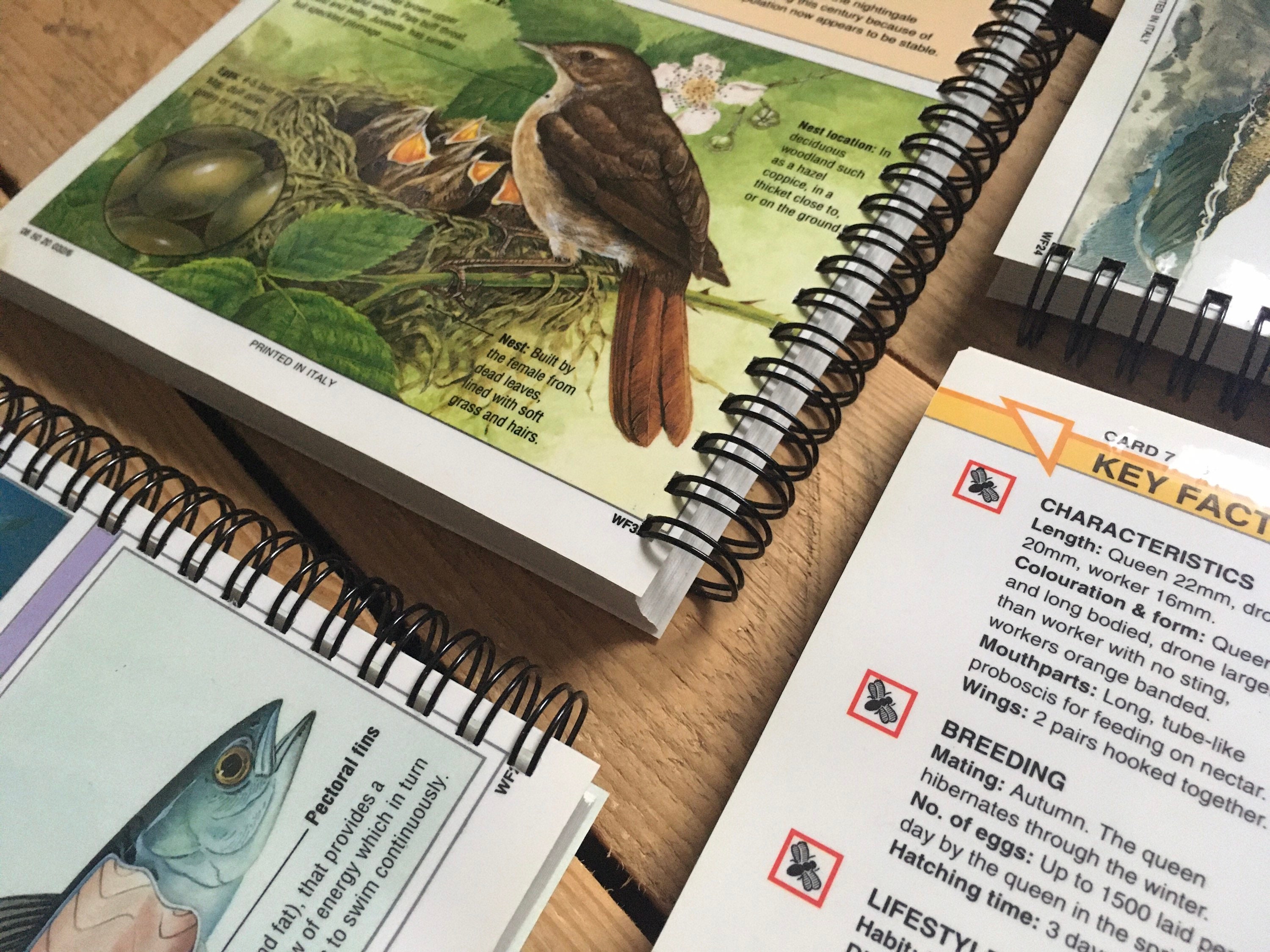 Recycled/upcycled Animals 90s Fact-file Notebook Wildlife - Etsy