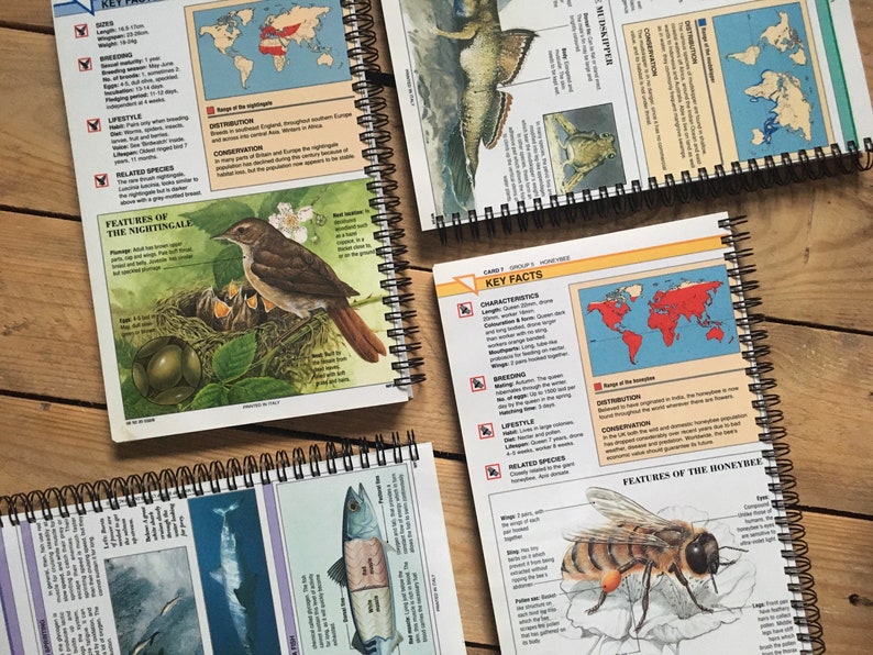 Recycled/upcycled Animals 90s Fact-file Notebook Wildlife - Etsy