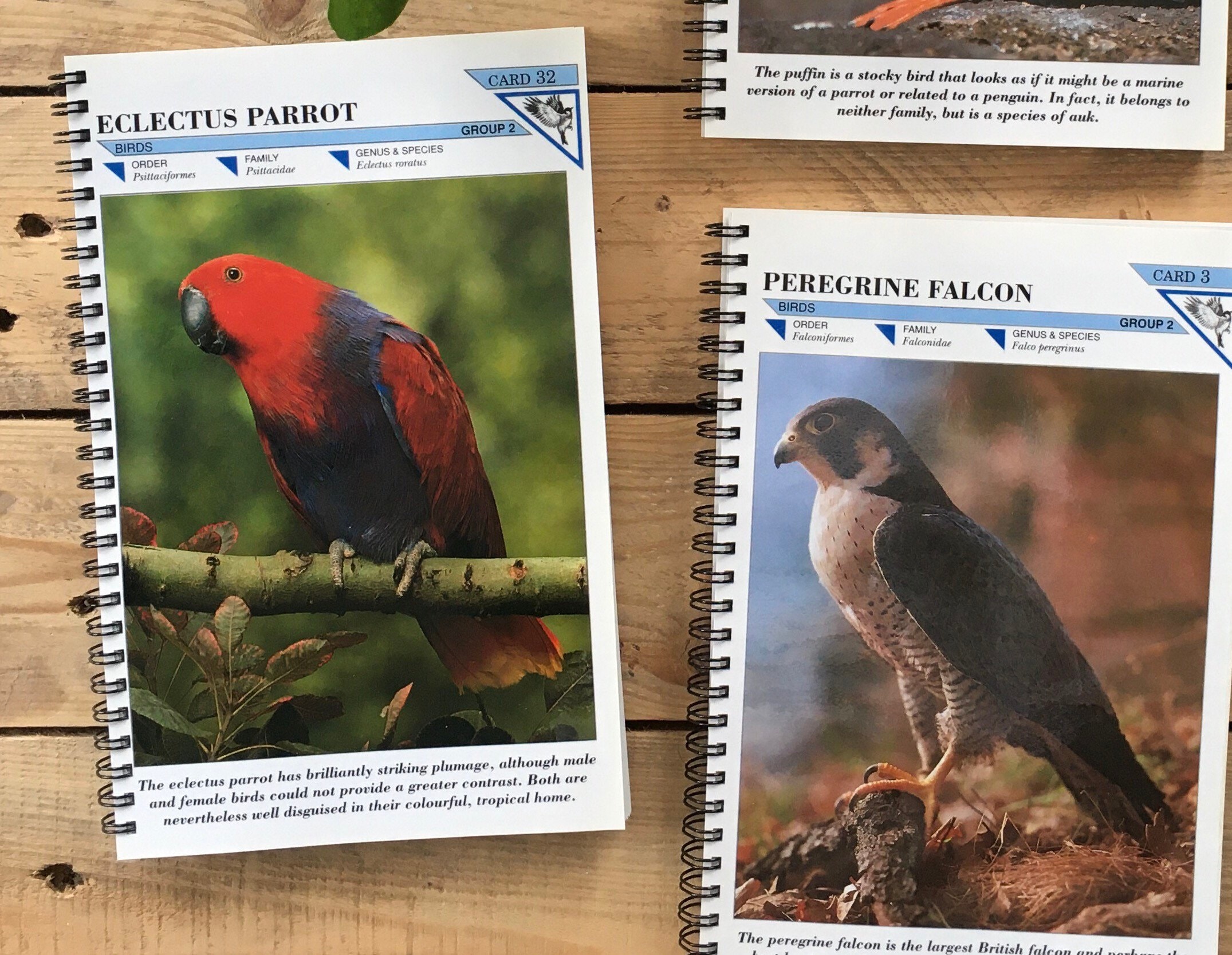 Wildlife Fact File for sale | Only 4 left at -75%