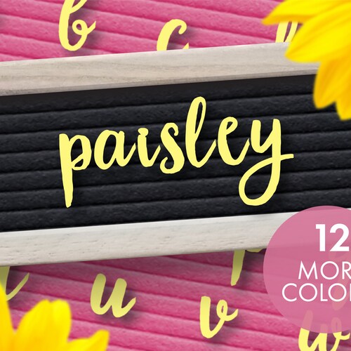 Cursive Letterboard Letters Paisley Letterset Lowercase - Etsy