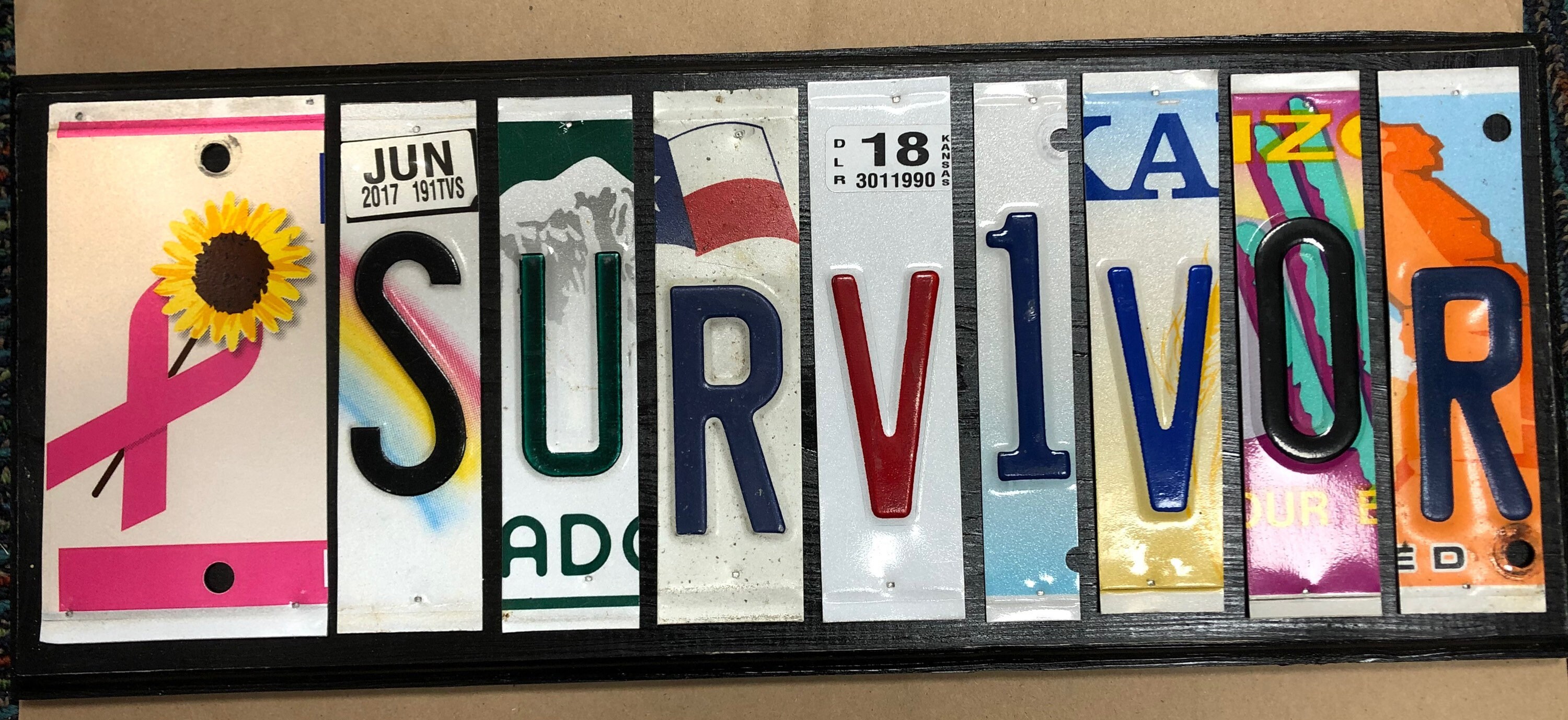 Survivor License Plate Sign - Etsy