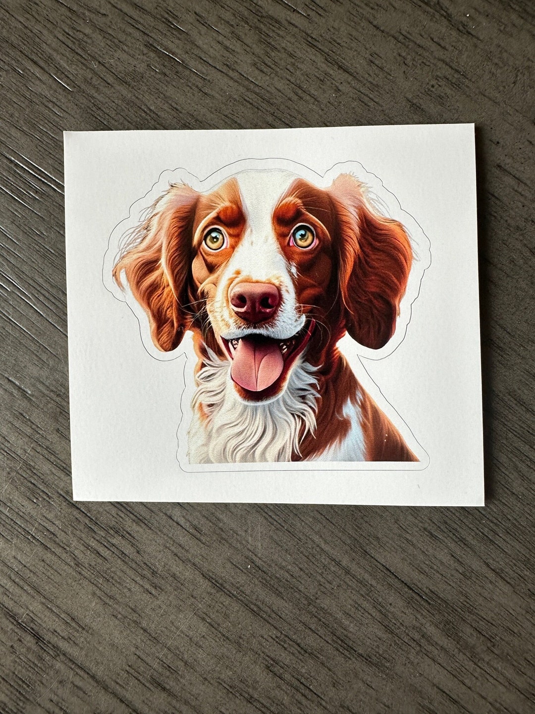 Brittany Spaniel Dog Vinyl Sticker - Waterproof Dog Laptop Decal - Pet ...