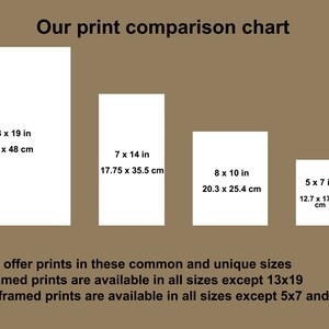 Our Lady of Mt Carmel Handcrafted Framed Prints. 7x14 Size. Our Lady of ...