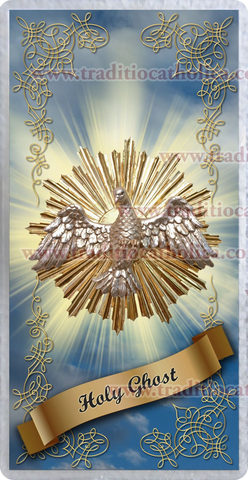 Holy Ghost Laminated Catholic Holy Cards. Catholic Holy Prayer - Etsy