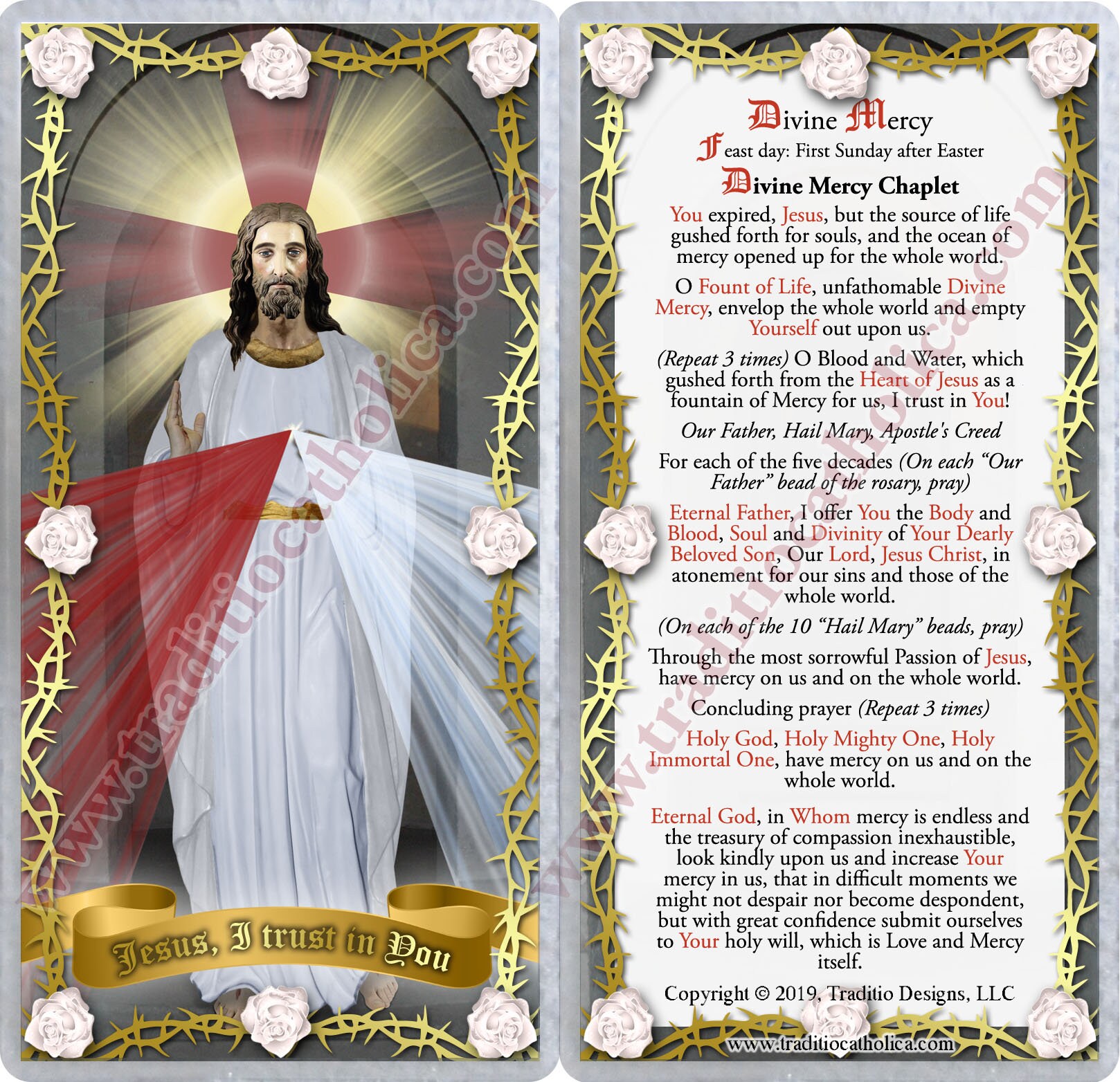 Divine Mercy Chaplet and Consecration Catholic Holy Prayer Cards. Jesus ...