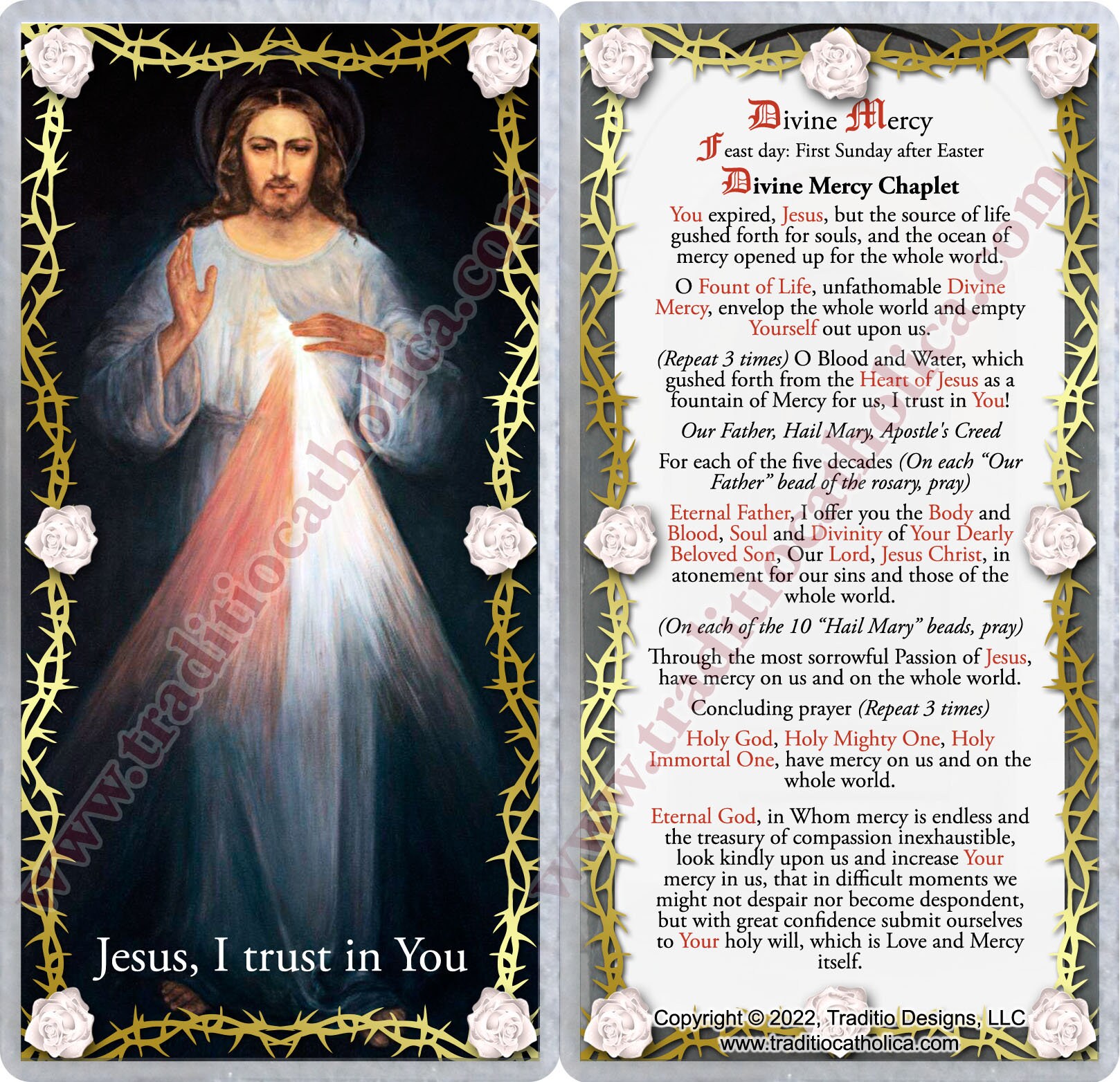 Divine Mercy Chaplet and Consecration Catholic Holy Prayer Cards. Jesus ...