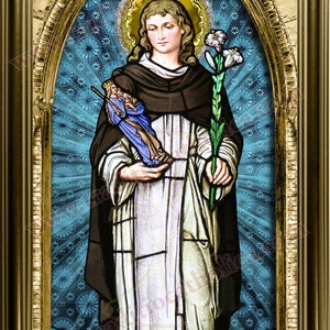 Saint Hyacinth of Poland Stained Glass Handcrafted Framed Print. 7x14 ...