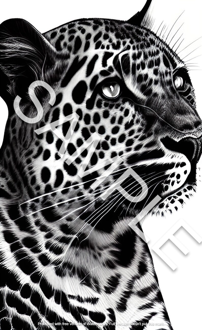 22 PRINTABLE Big Cat Coloring Pages - Etsy