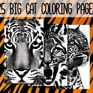 22 PRINTABLE Big Cat Coloring Pages - Etsy