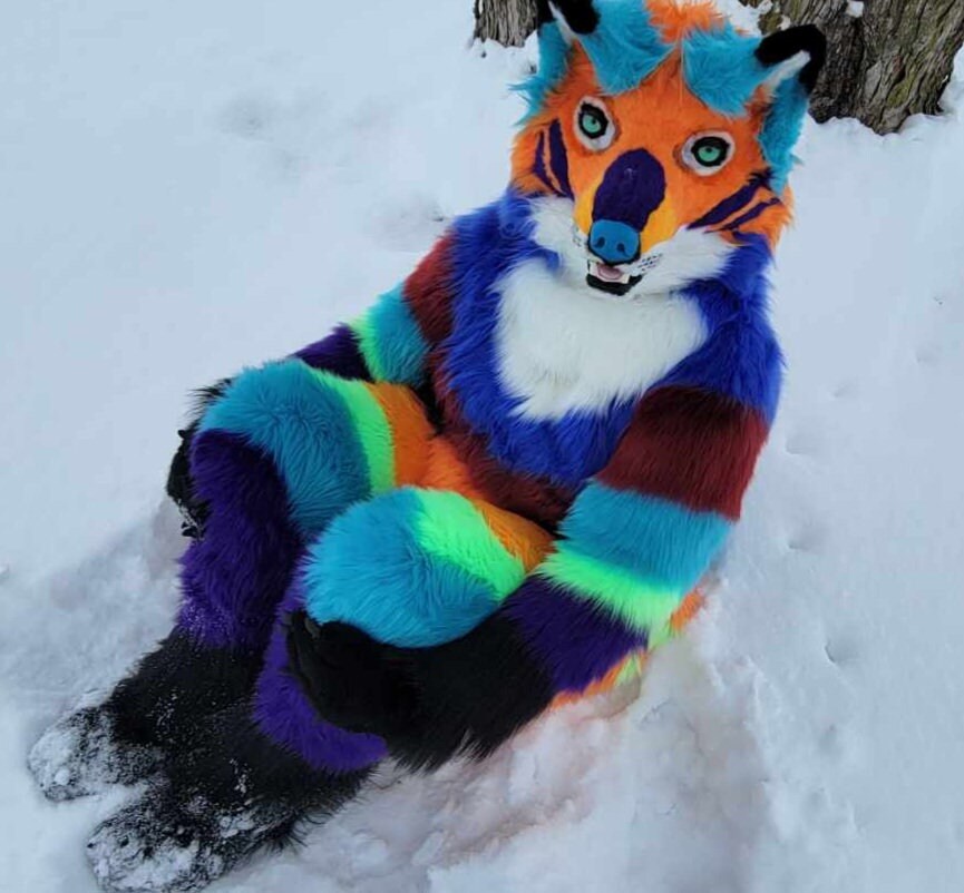 Canine Plantigrade Fursuit Fullsuit - Etsy