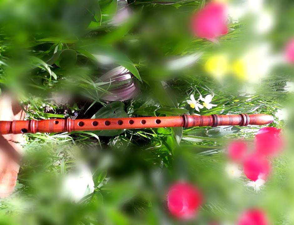 Woodwind Musical Instrument Armenian Blul Key D Chromatic Apricot ...