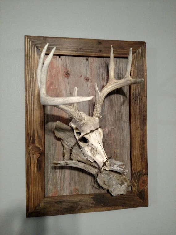 European Elk Mount Plaque