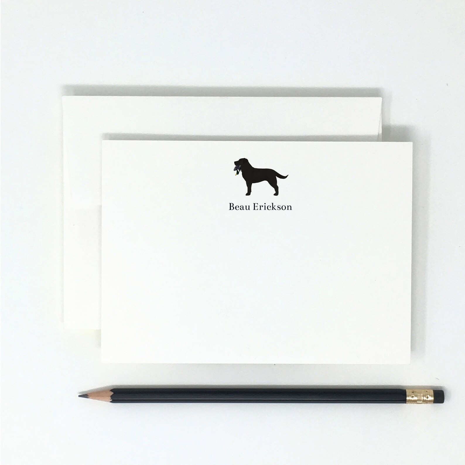 Note Cards // Black Lab Duck Hunting Dog // High Quality // 12 - Etsy