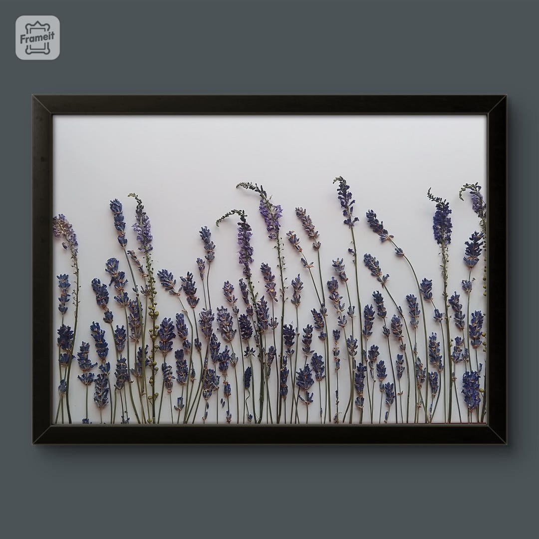 Field of Lavender, Original Pressed Flower Wall Decor for Nature Lovers ...