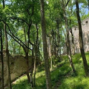 Castle Ruin Dirt. Hoodoo. Voodoo. Witchcraft. Hexing. - Etsy