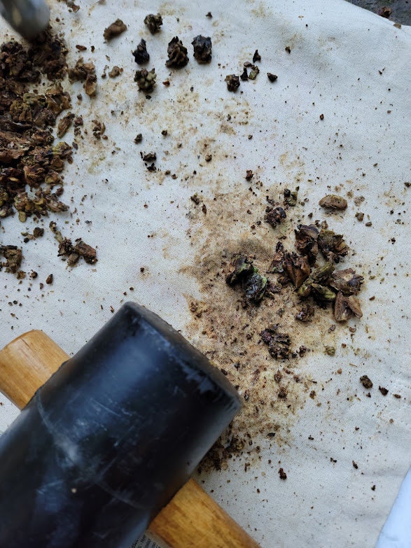 Knopper Gall Ink. Acorn Gall Ink. Medieval Ink. Moonwater Ink ...