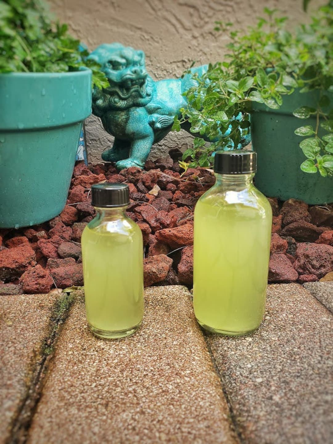 Spiritual Cleansing, Blessing & Protection Waters. Voodoo. Vodou ...