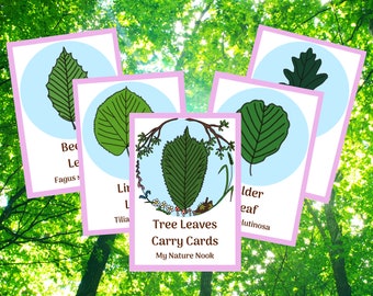 Tree Id Cards - Etsy