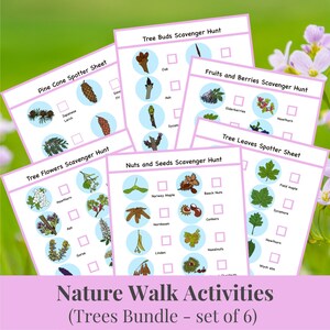 Trees Nature Walk Scavenger Hunt Printable Activity Bundle for Children ...