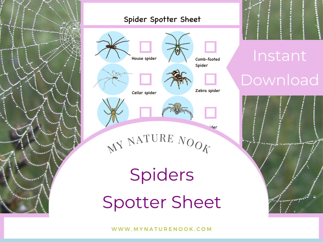 Nature Scavenger Hunt // Spiders printable PDF - Etsy