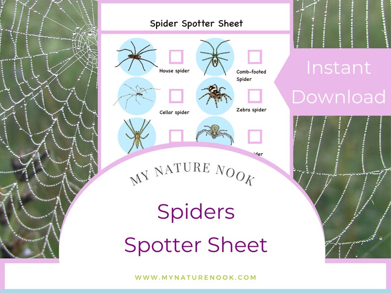 Spiders Nature Walk Spotter (printable PDF) - Etsy