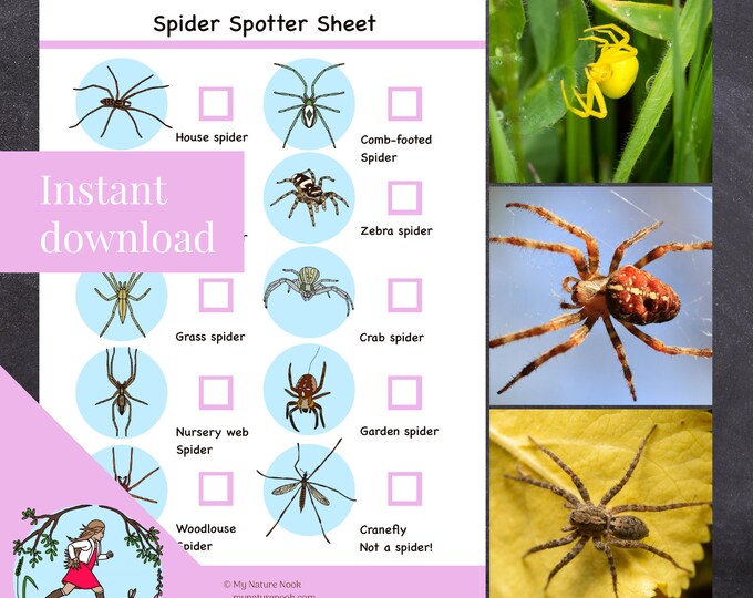 Pretty Nature Walk Printables by MyNatureNook on Etsy