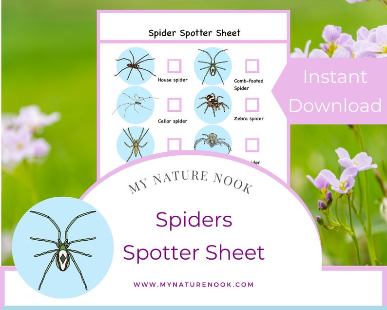 Spiders Nature Walk Spotter (printable PDF) - Etsy