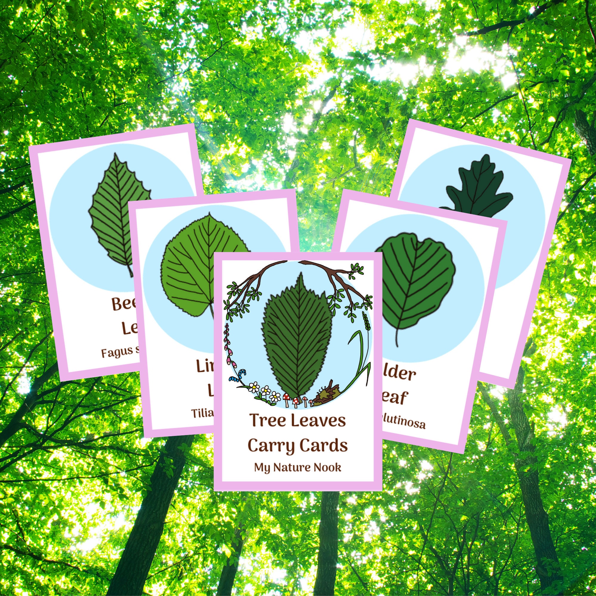 Prints Tree Leaves Print Digital File Download Tree Leaves Flashcard ...