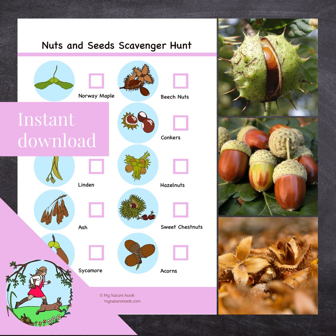 Nuts and Seeds Nature Walk Spotter (printable PDF) - Etsy