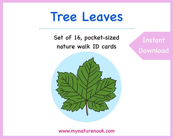 Tree Leaves Cards Digital Printable PDF. | Etsy