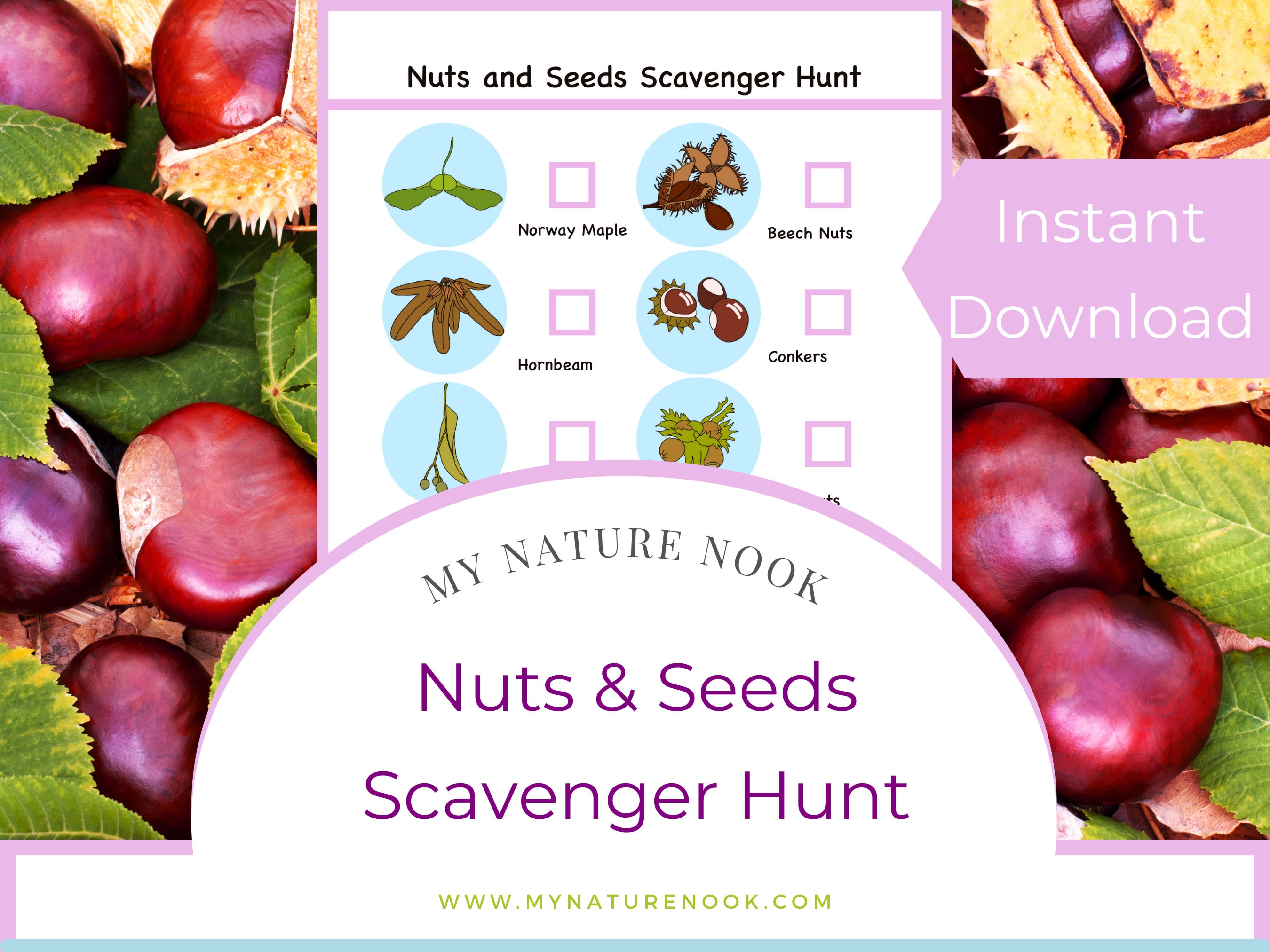 Nuts and Seeds Nature Walk Spotter (printable PDF) - Etsy