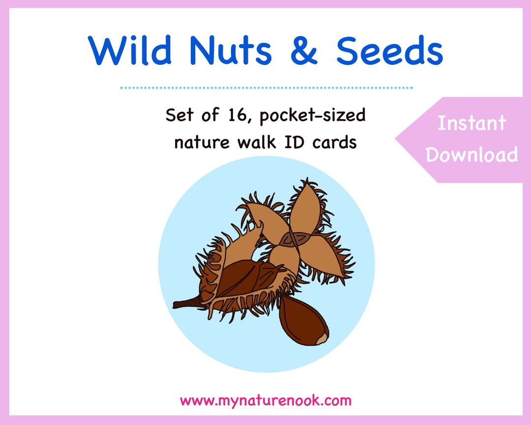 Tree Nuts and Seeds - Cards - Digital - Printable PDF. - Etsy