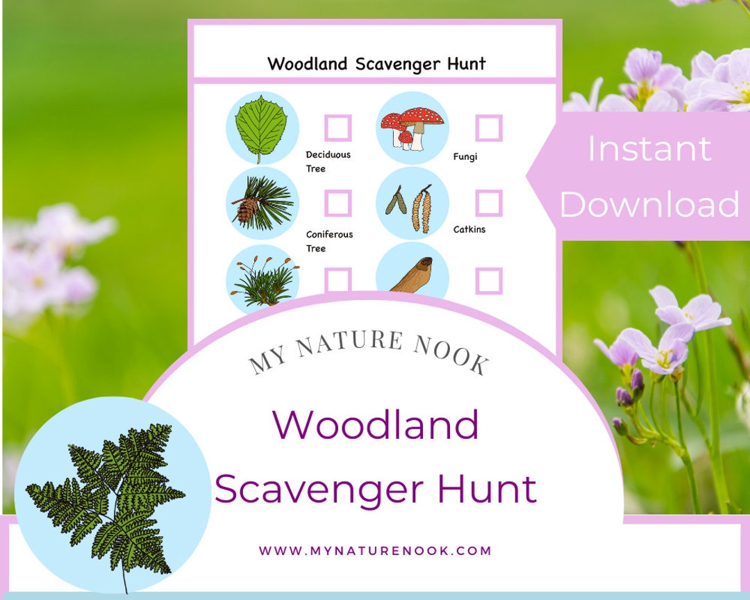 Woodland Nature Walk Scavenger Hunt (printable PDF) - Etsy
