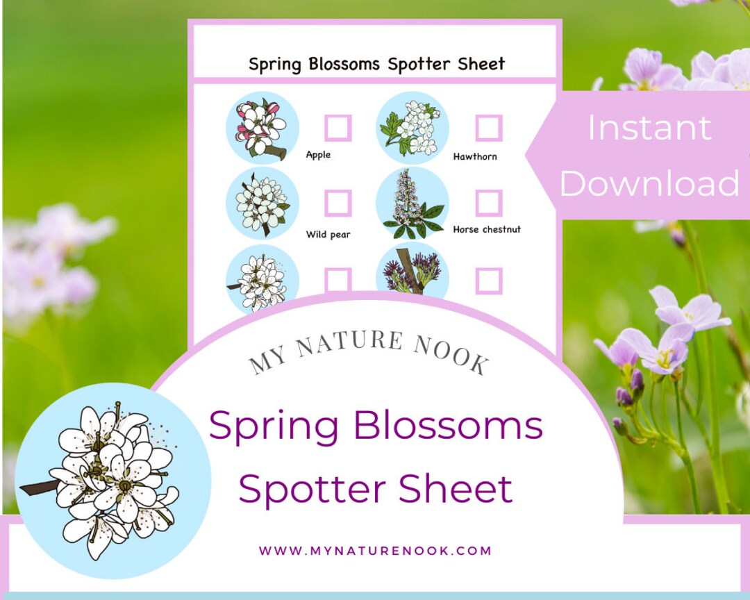 Spring Blossom Nature Walk Spotter (printable PDF) - Etsy