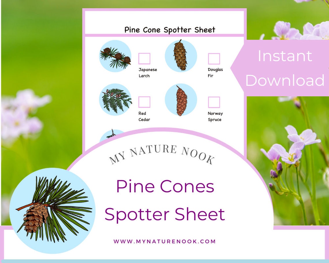 Conifers Nature Walk Spotter Sheet (printable PDF) - Etsy