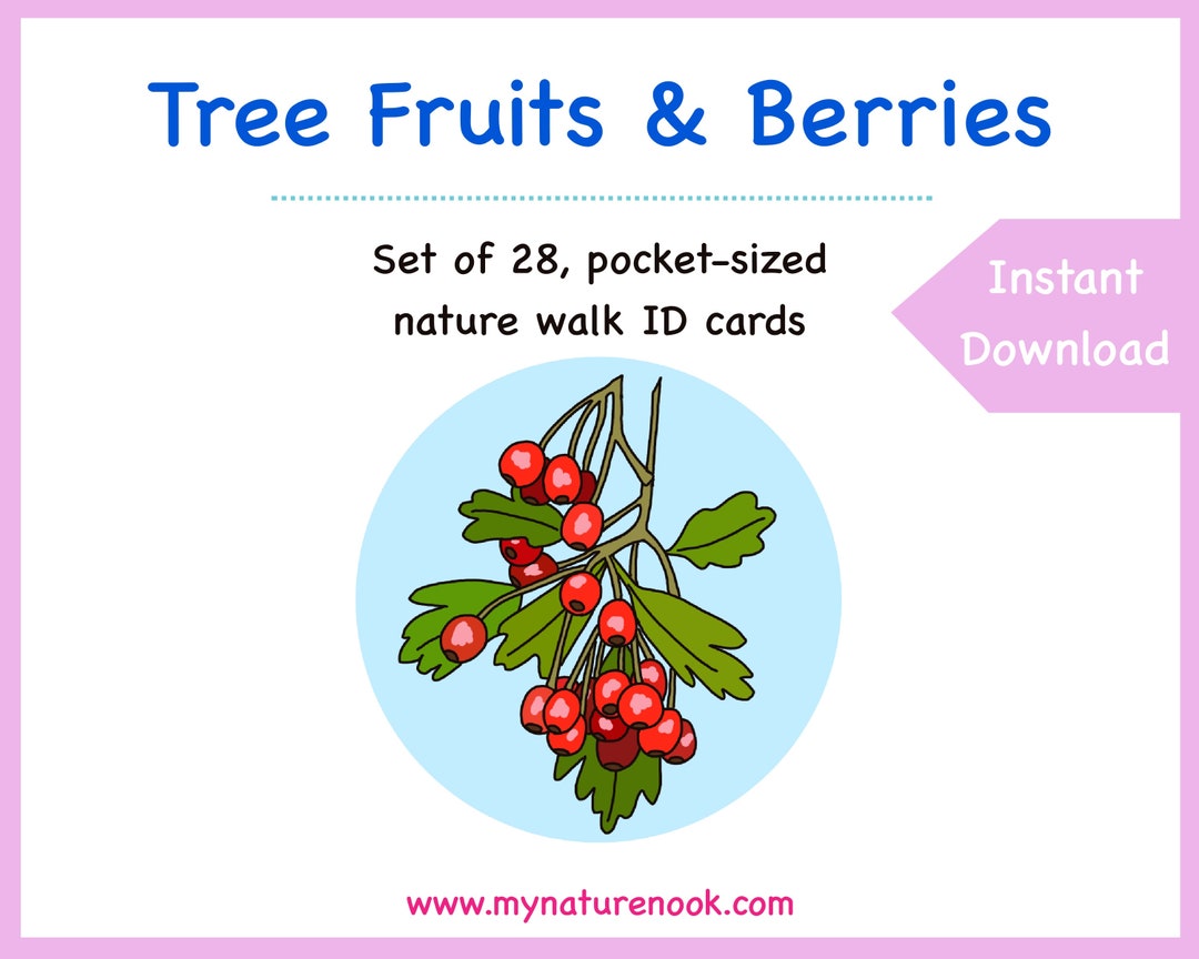 Tree Fruits and Berries - Printable PDF Nature Walk Cards for Kids - Etsy
