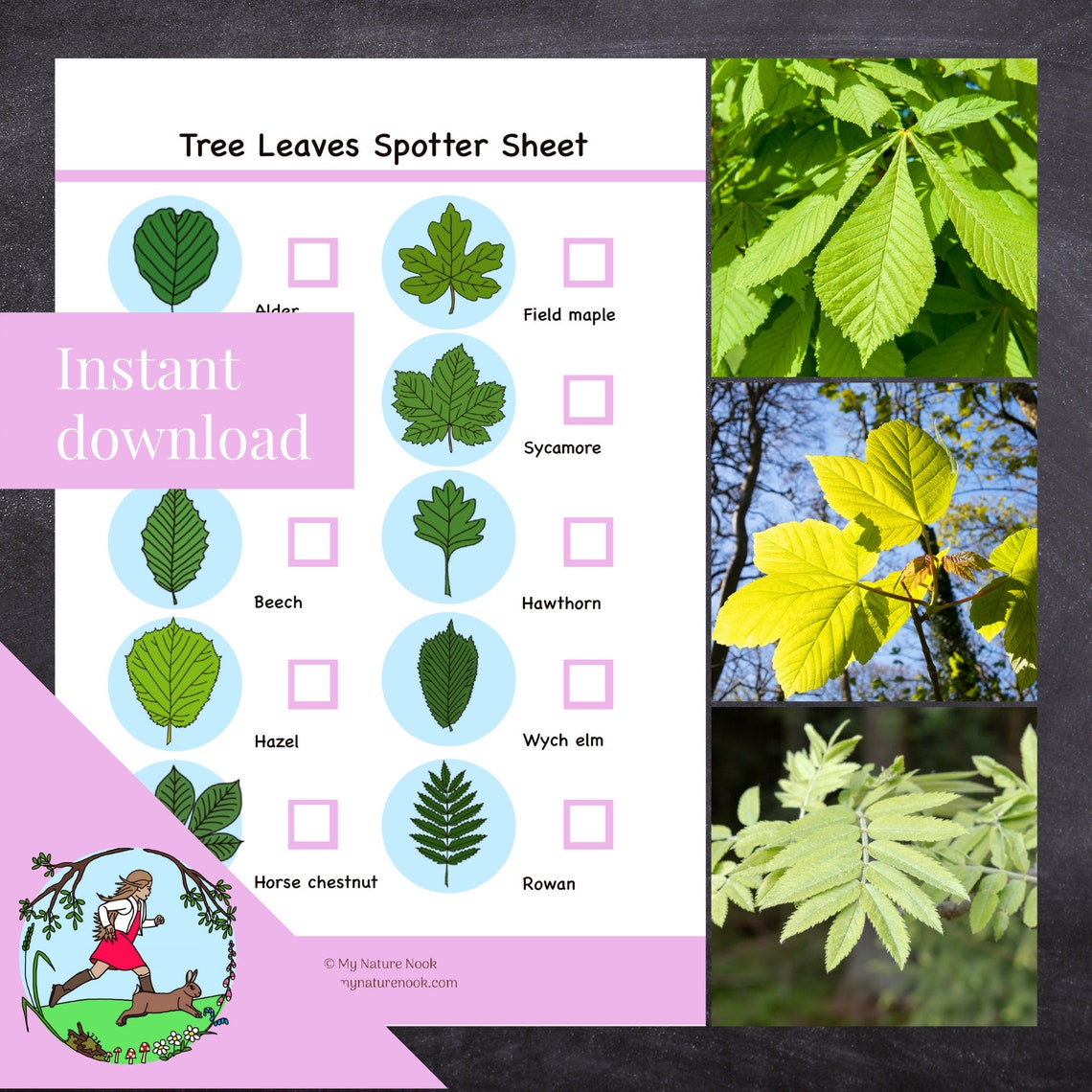 Tree Leaves Scavenger Hunt - Nature Walk Activity for Kids (PDF) - Etsy