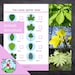 Tree Leaves Scavenger Hunt Nature Walk Activity for Kids PDF - Etsy