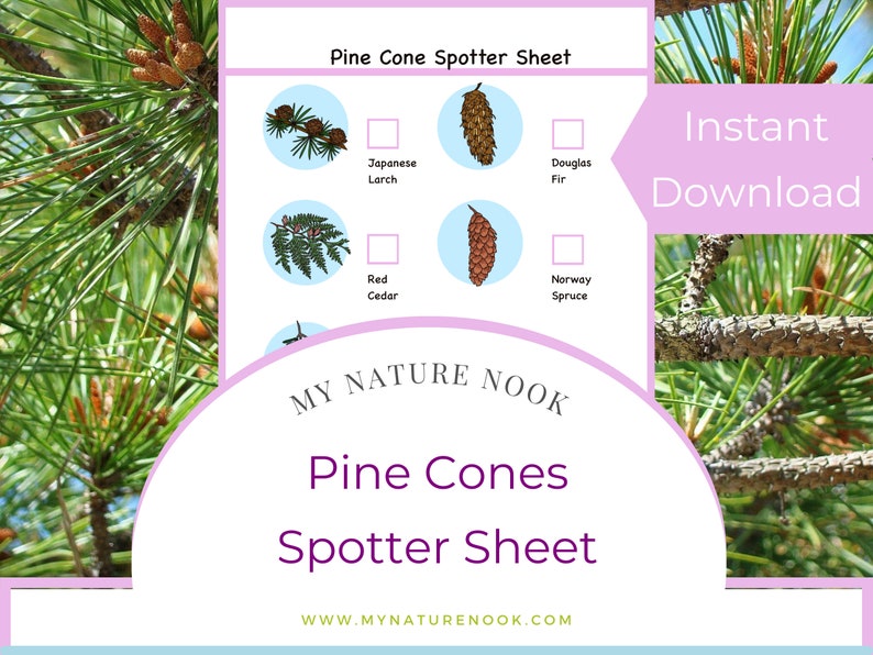 Conifers Nature Walk Spotter Sheet (printable PDF) - Etsy