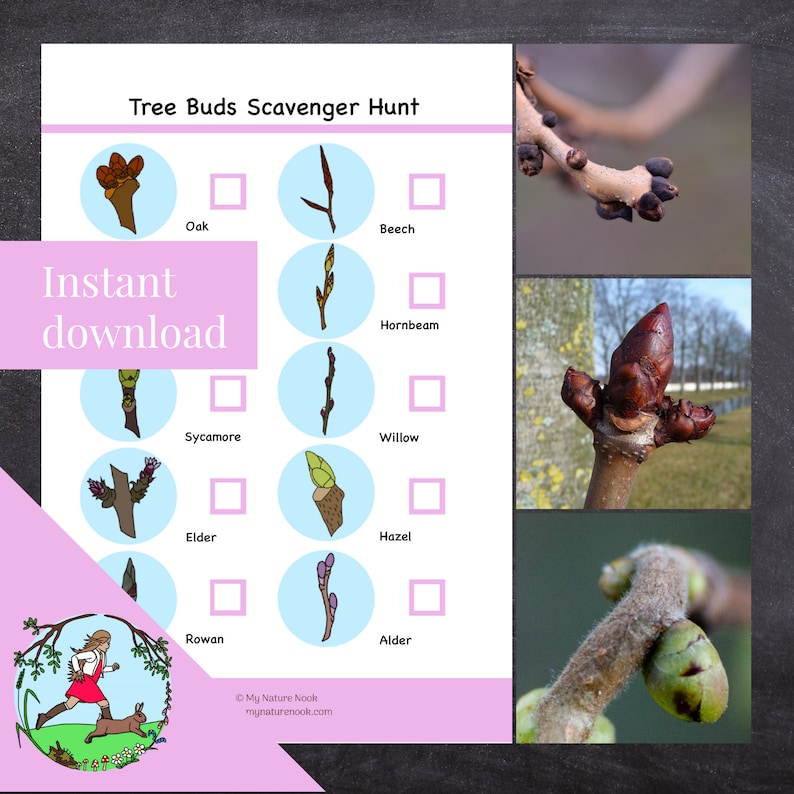 Trees Nature Walk Scavenger Hunt Printable Activity Bundle for - Etsy