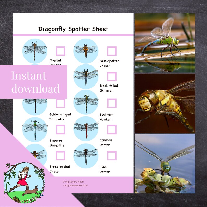 Nature Scavenger Hunt // Insects Bundle (printable PDF) - Etsy