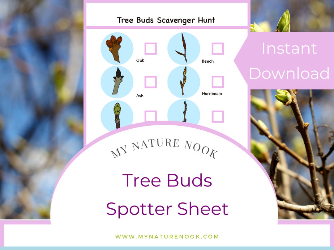 Nature Scavenger Hunt // Tree Buds printable PDF - Etsy