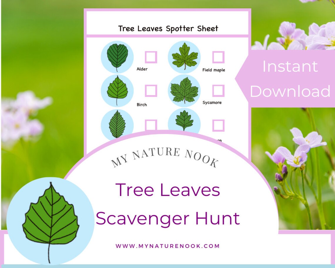 Tree Leaves Scavenger Hunt - Nature Walk Activity for Kids (PDF) - Etsy