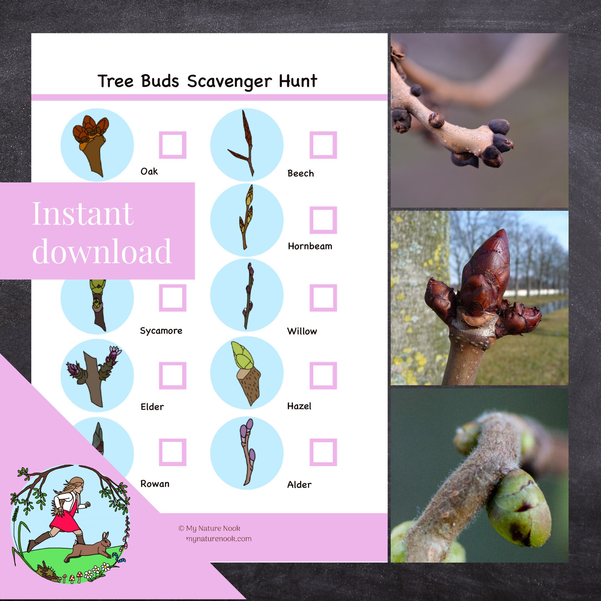Nature Scavenger Hunt // Tree Buds printable PDF - Etsy