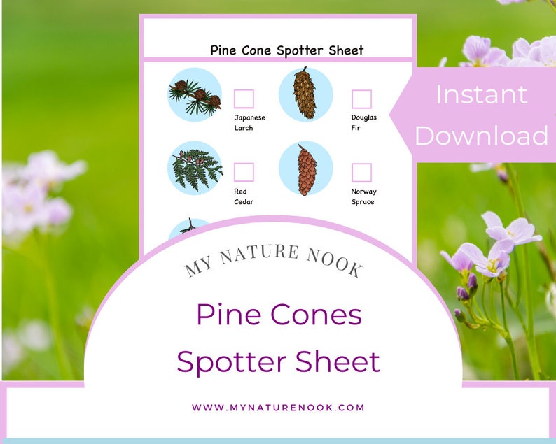 Conifers Nature Walk Spotter Sheet (printable PDF) - Etsy