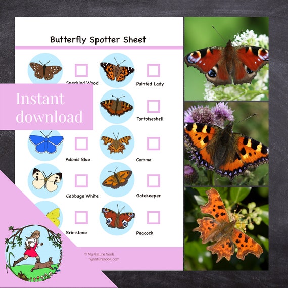 Nature scavenger hunt // British Butterflies printable PDF | Etsy