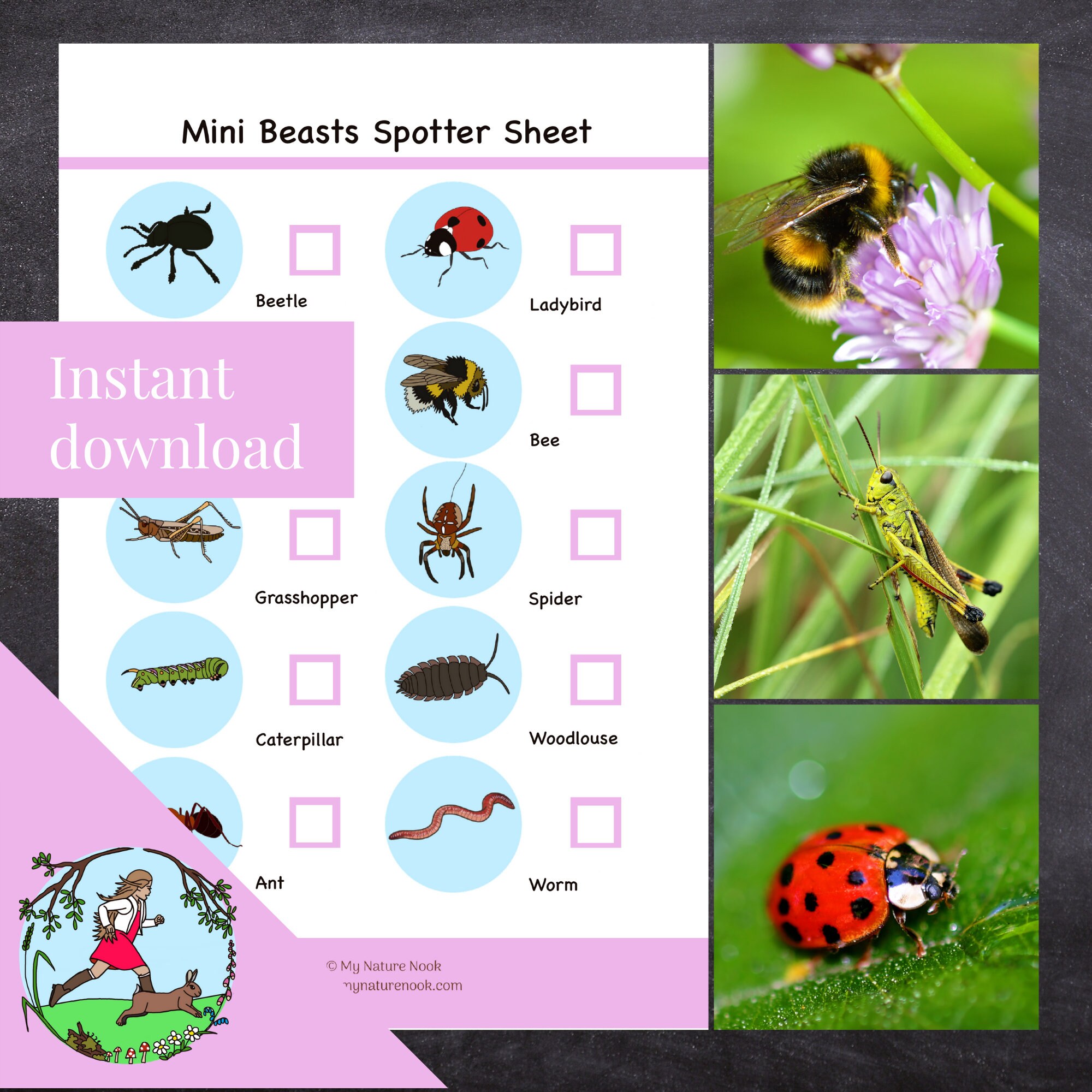 Nature Scavenger Hunt // Insects Bundle (printable PDF) - Etsy